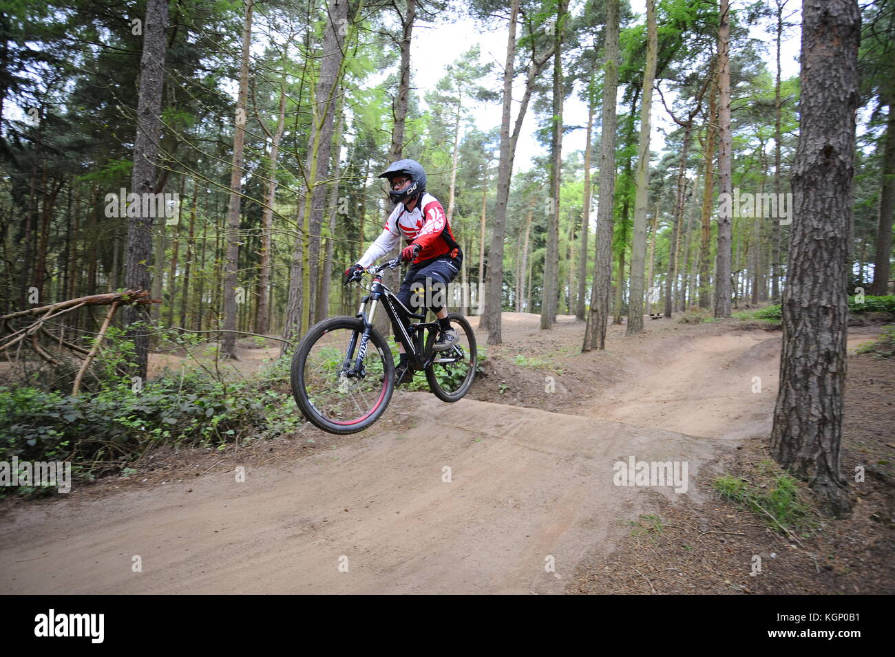 Mountain biking at Chicksands, Bedfordshire. Riders descending down a ...