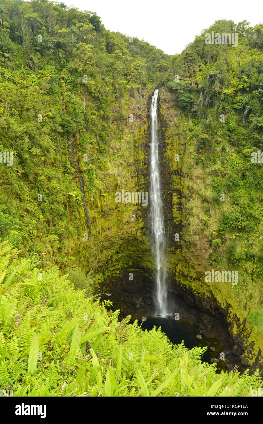 Waterfalls in hilo hawaii hi-res stock photography and images - Alamy