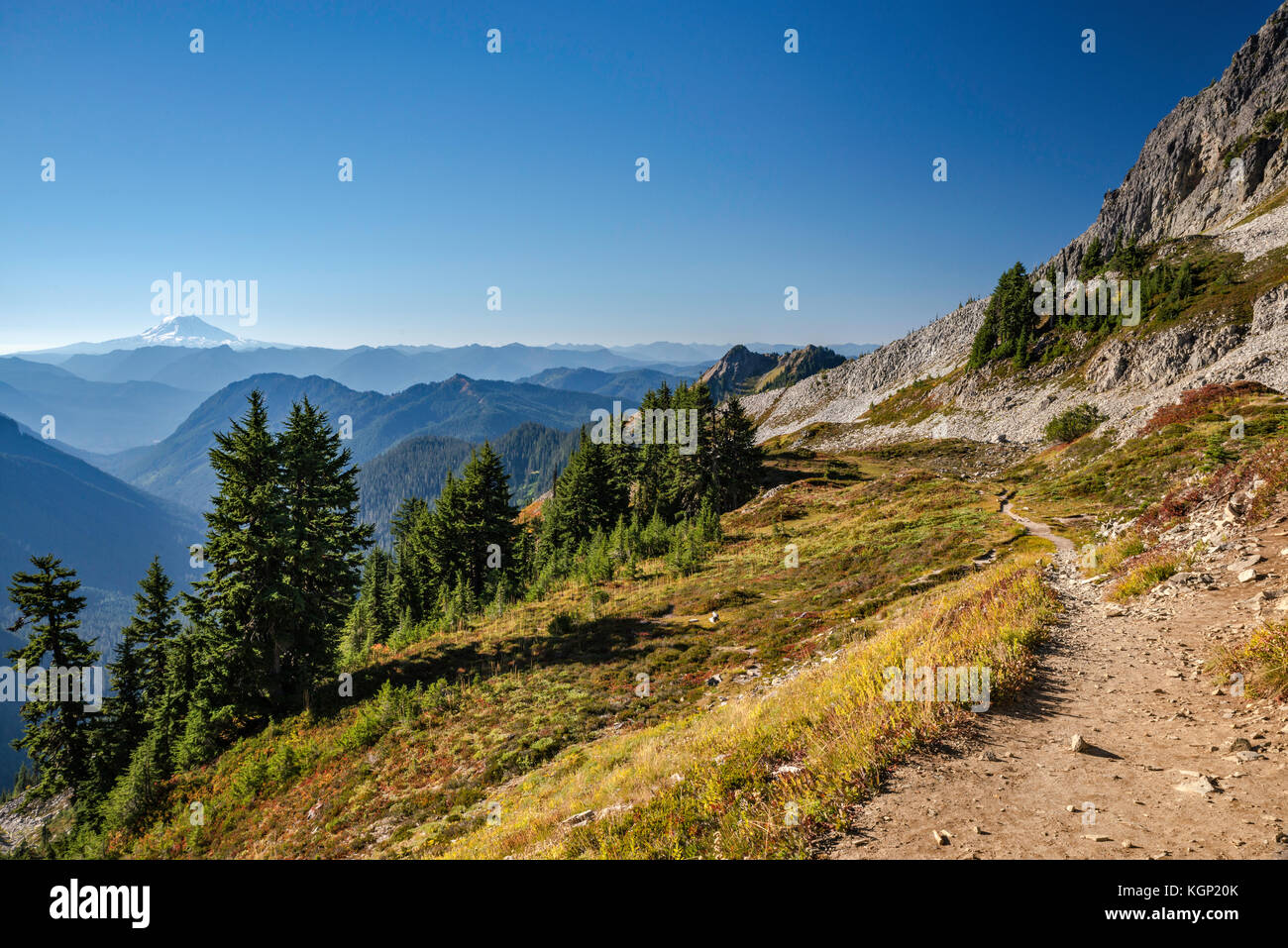 Mount Adams in distance, 40 miles away, view from Pinnacle Saddle ...