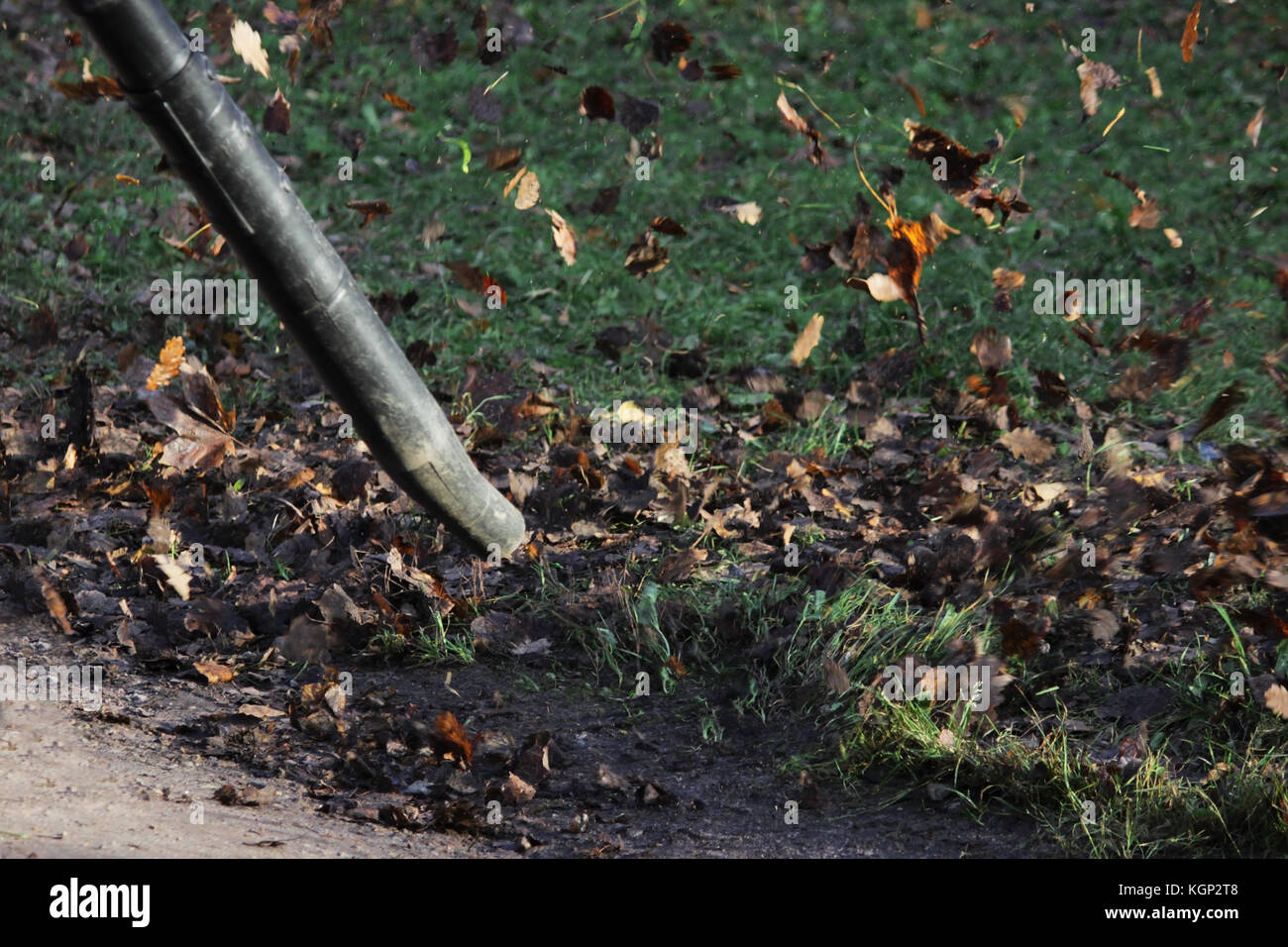 worker cleans a path in the park from fallen leaves using an industrial ...
