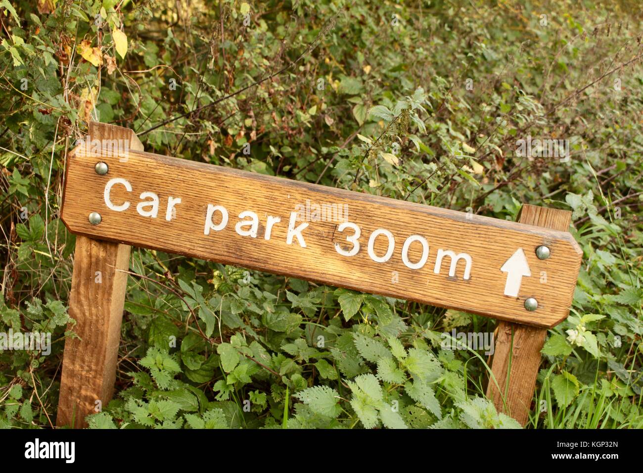 Car Park 300 m sign in white letters with an arrow on low wooden posts ...