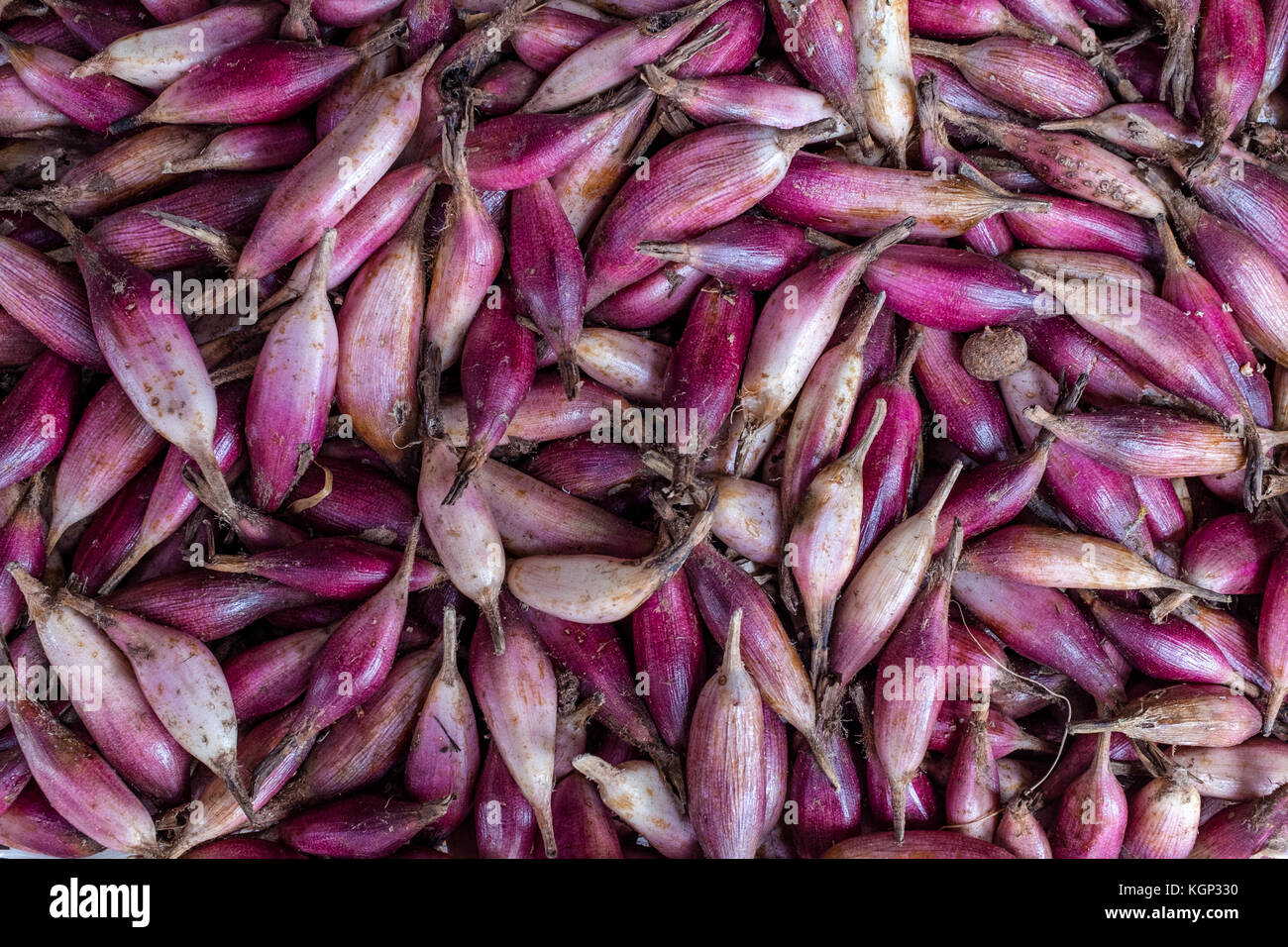 Pinuelillas hi-res stock photography and images - Alamy