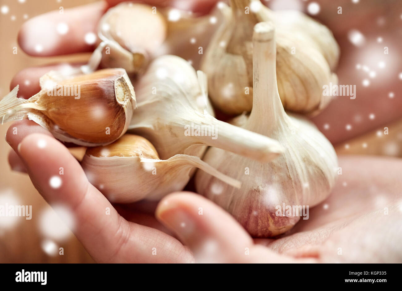 close up of woman hands holding garlic Stock Photo - Alamy