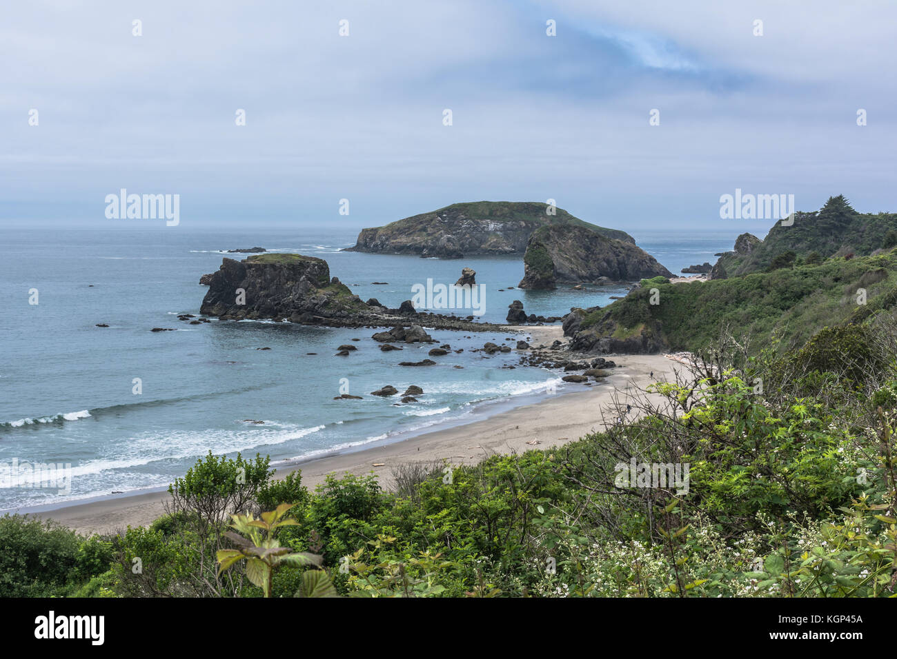 The coast along Brookings, Oregon Stock Photo - Alamy