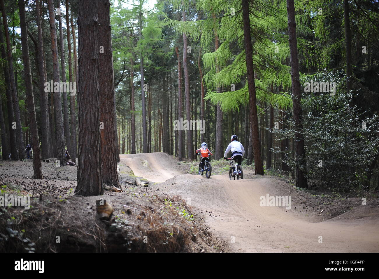 Mountain biking at Chicksands, Bedfordshire. Riders descending down a ...