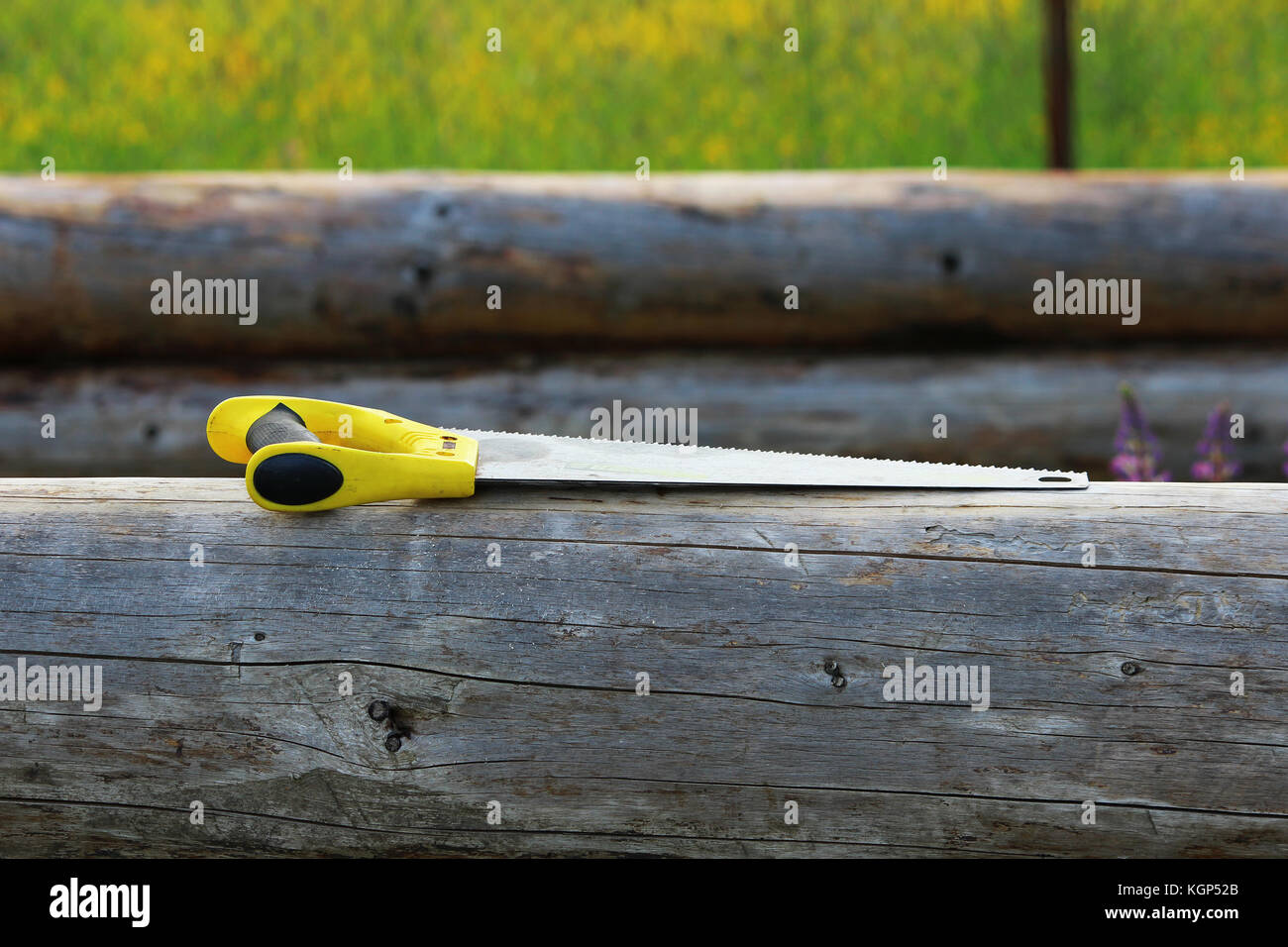 Saw. Instruments and tools. Construction and Repair. Mend and repair ...