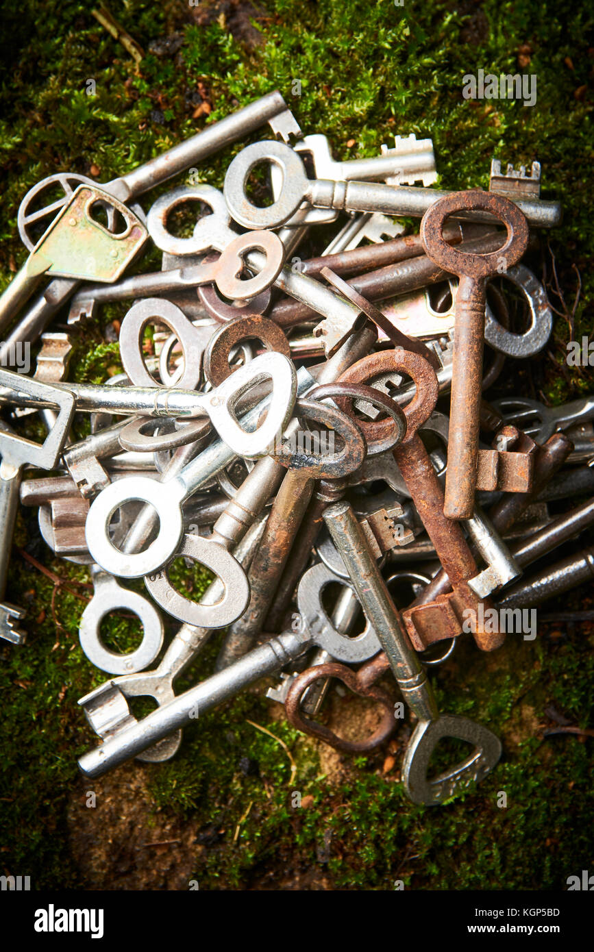 pile of old lost keys lying on moss Stock Photo - Alamy