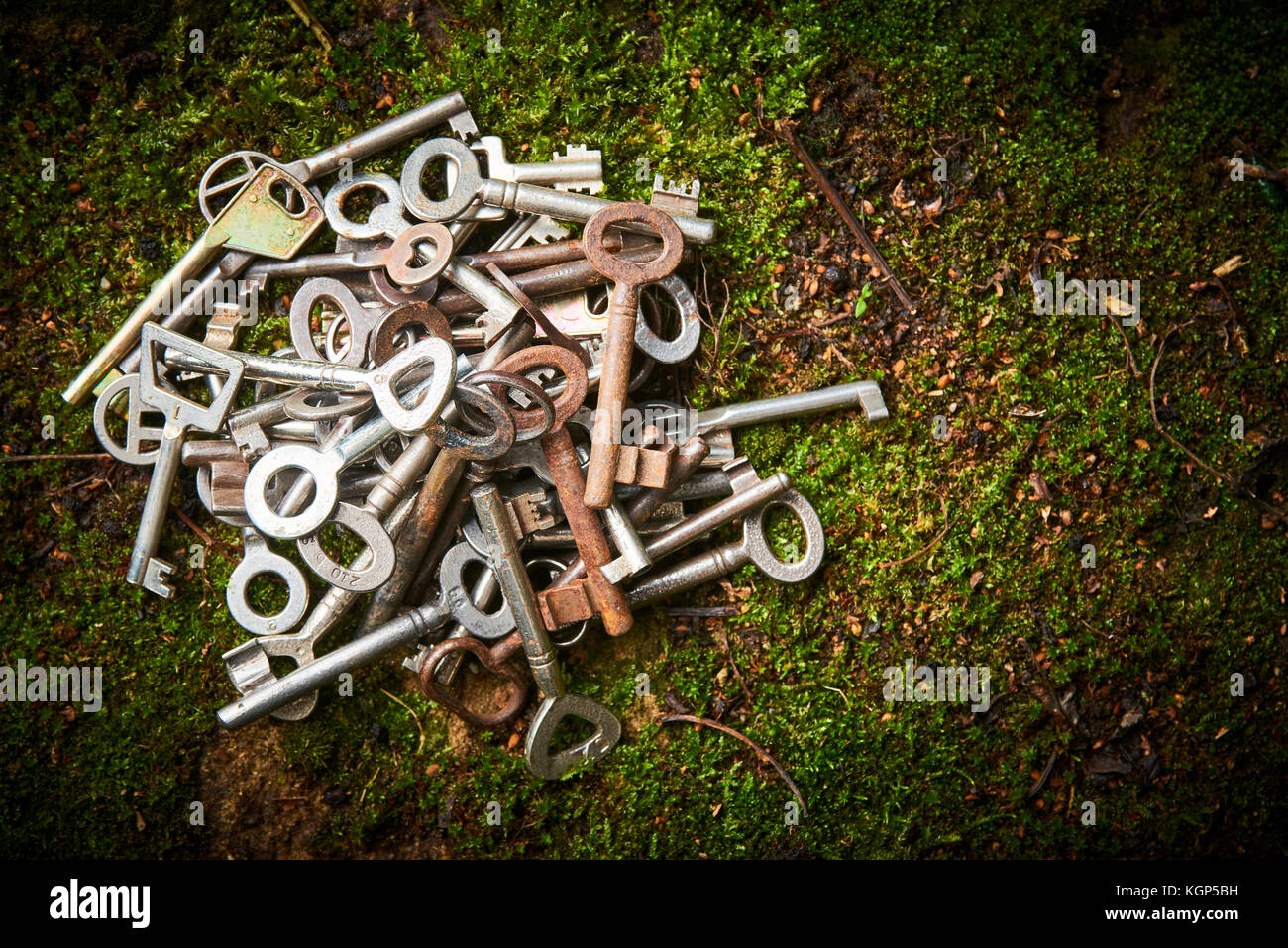 pile of old lost keys lying on moss Stock Photo - Alamy