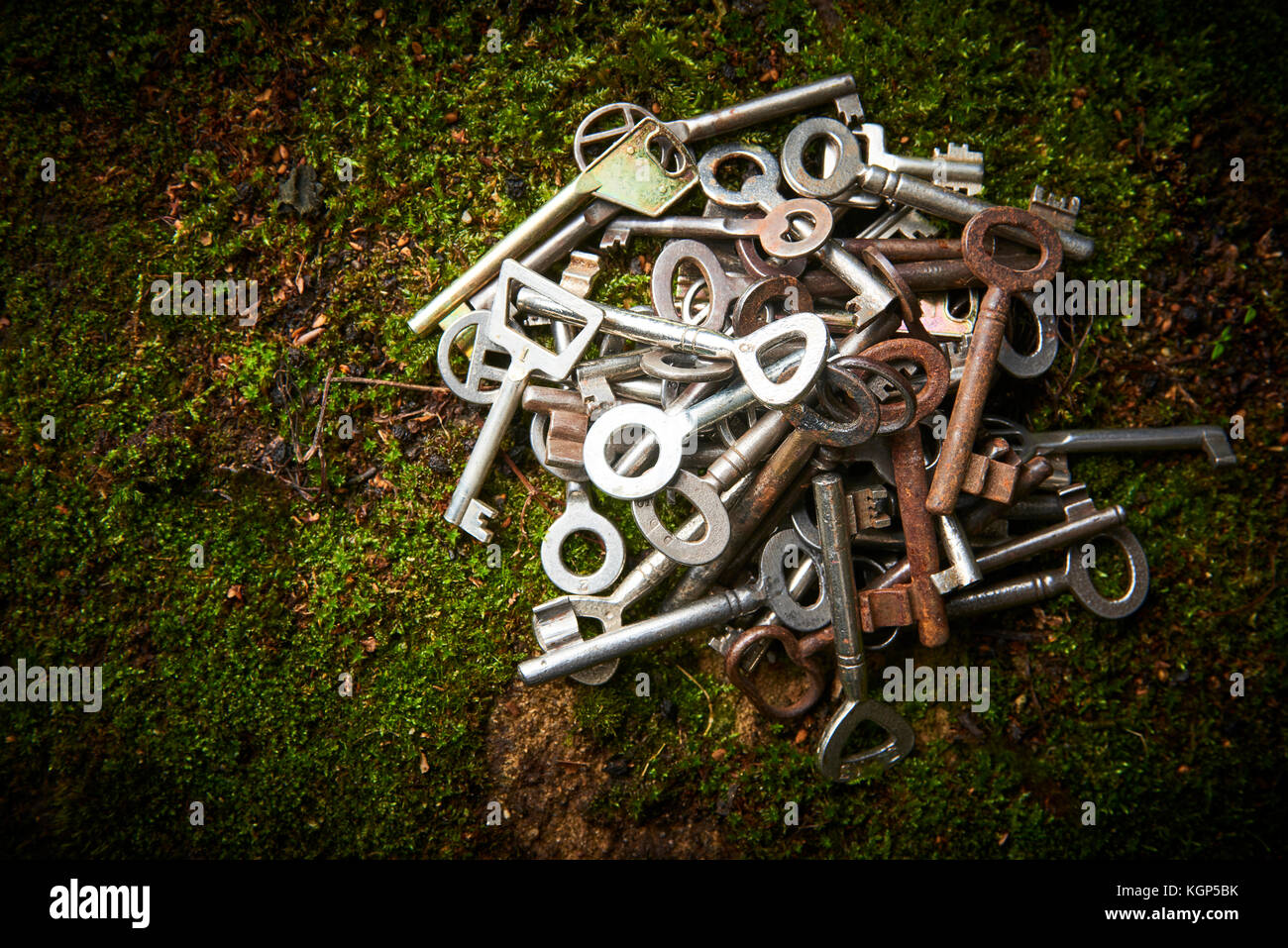pile of old lost keys lying on moss Stock Photo - Alamy