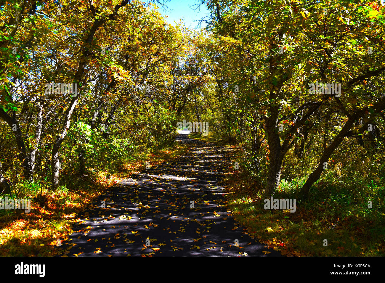 Burning leaves hi-res stock photography and images - Alamy