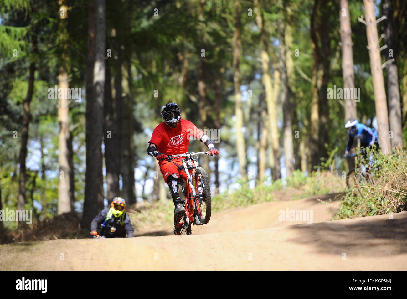 Mountain biking at Chicksands, Bedfordshire. Riders descending down a ...