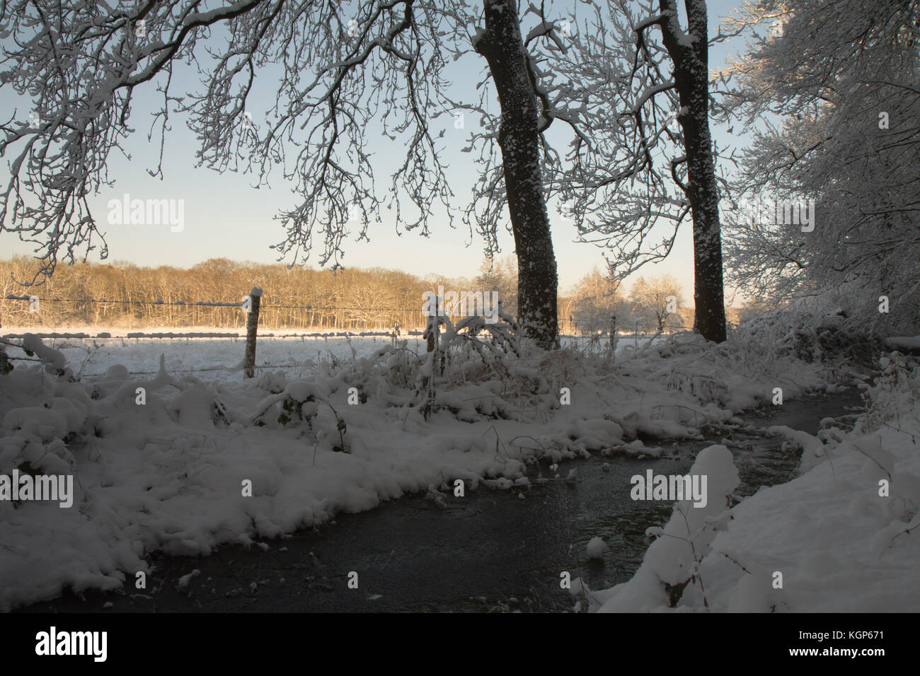 Snow in the Netherlands Stock Photo - Alamy