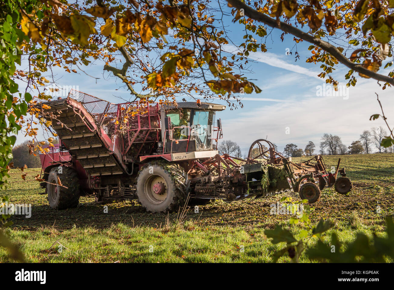 Beet harvester hi-res stock photography and images - Alamy