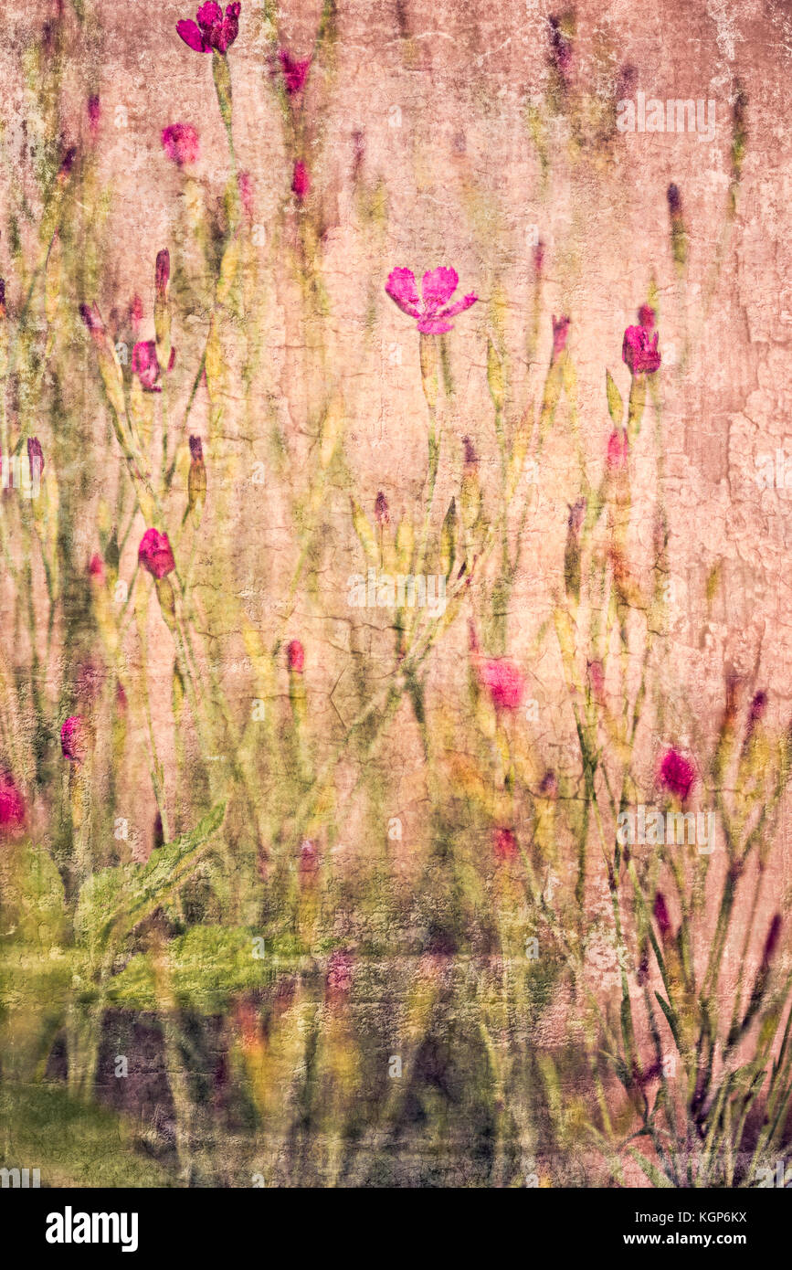Textured Floral Background Stock Photo - Alamy