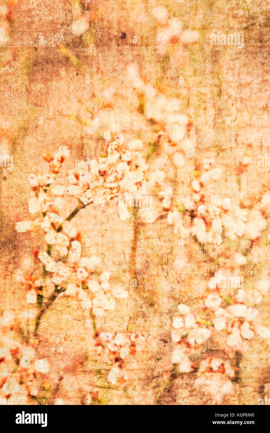Textured Floral Background Stock Photo - Alamy
