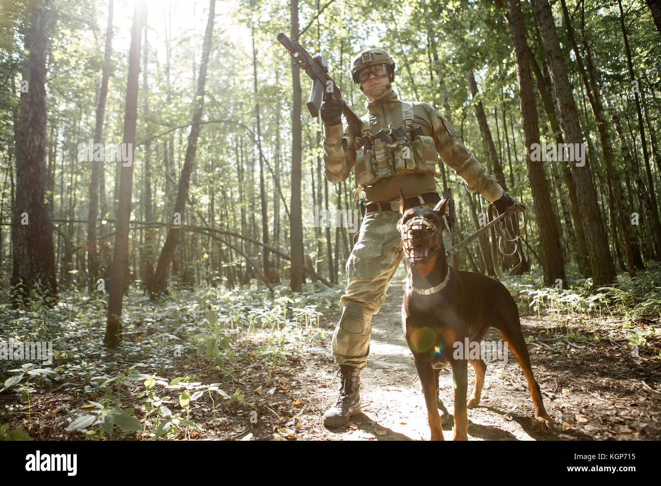 Dangerous dog campaign hi-res stock photography and images - Alamy