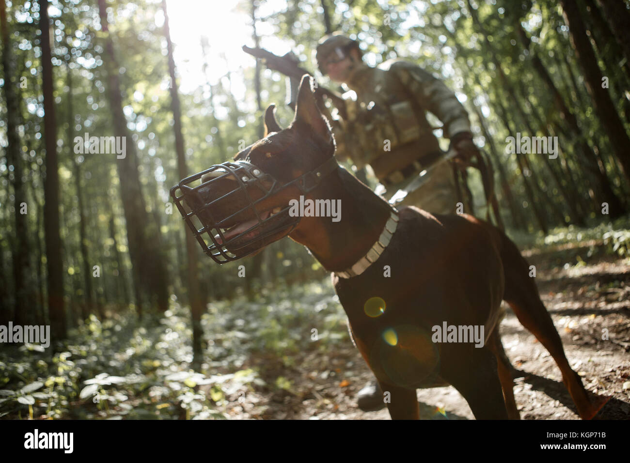 Picture of airsoft player with dog and submachine gun Stock Photo - Alamy