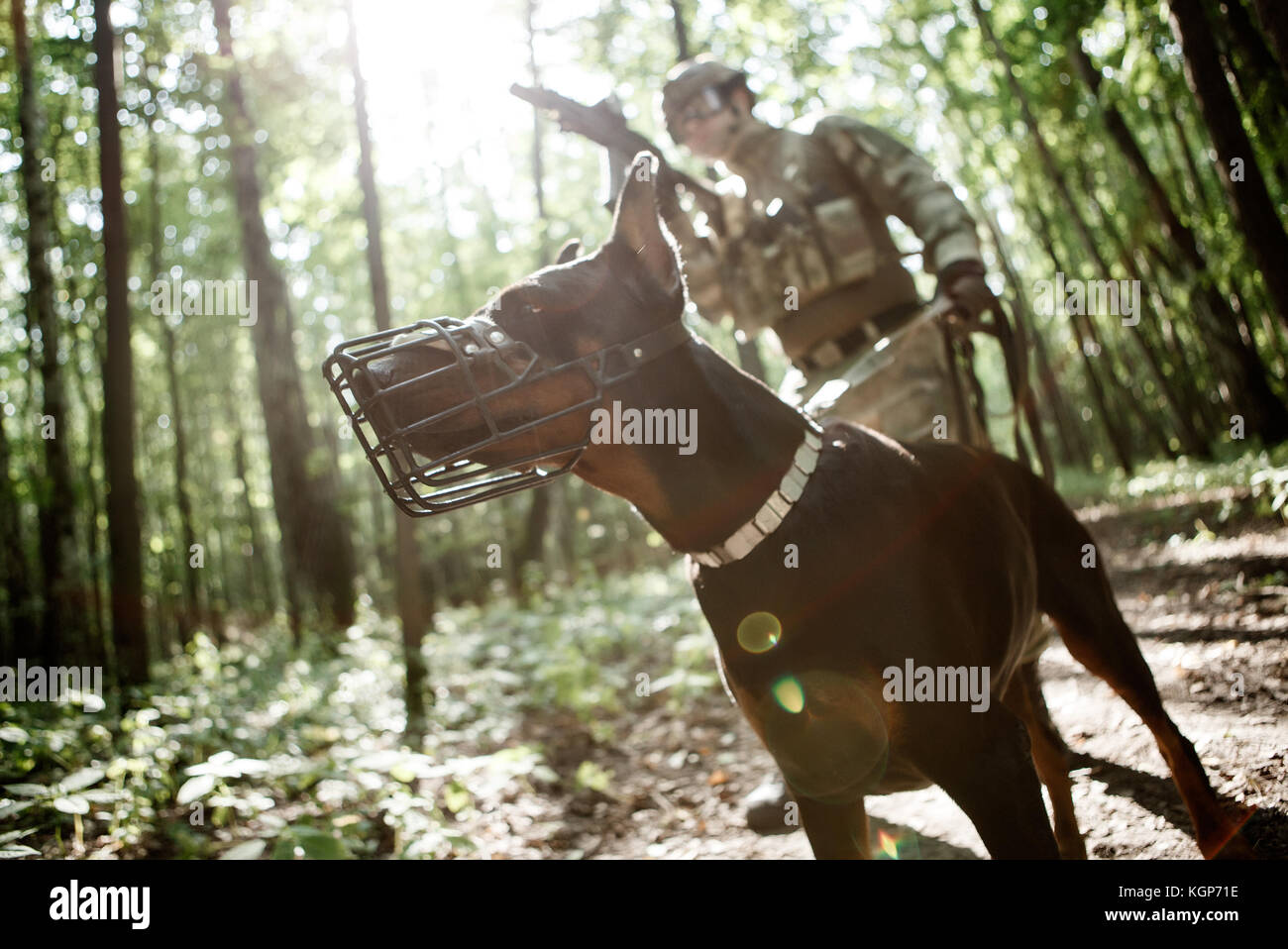 Photo of military man with dog Stock Photo - Alamy