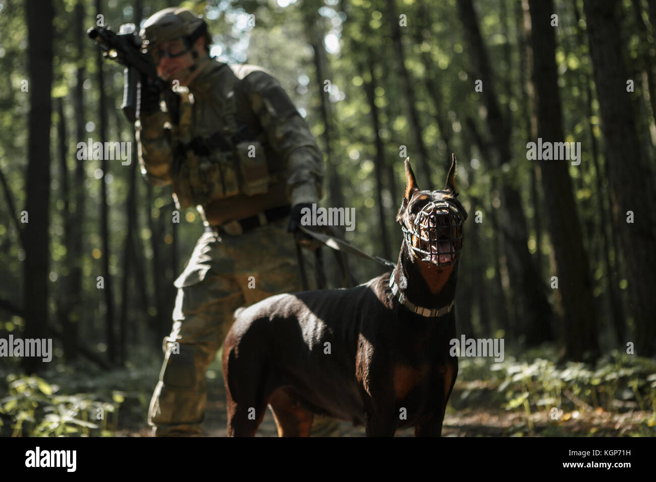 Image of airsoft player with dog and submachine gun Stock Photo - Alamy