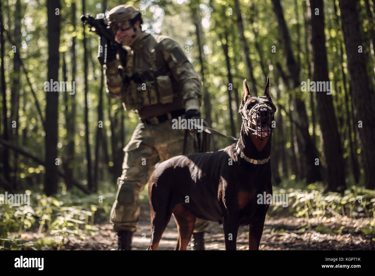 Airsoft wood hi-res stock photography and images - Alamy