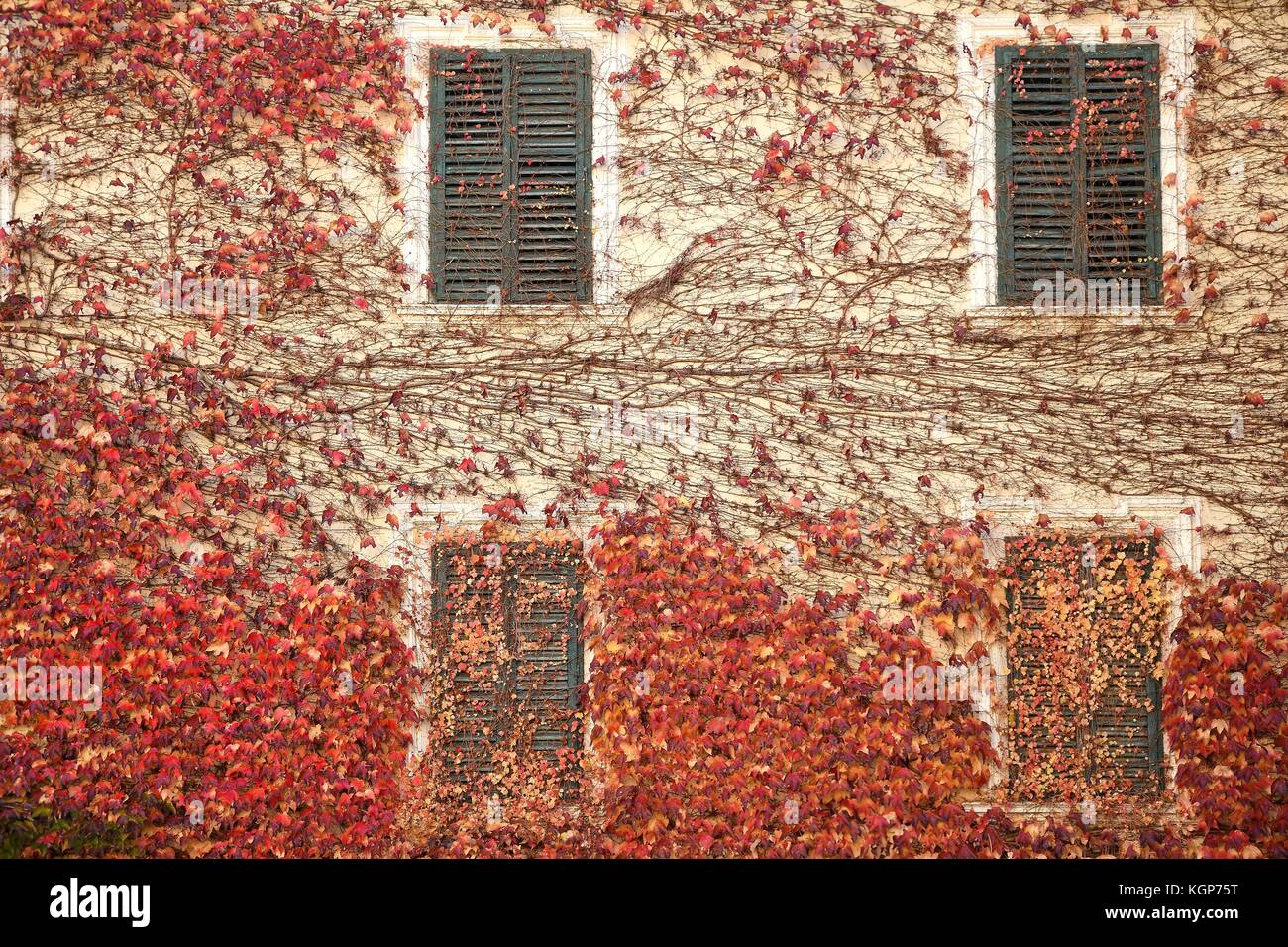 particular of Abbey Novacella, south tyrol, Bressanone, Italy. The ...