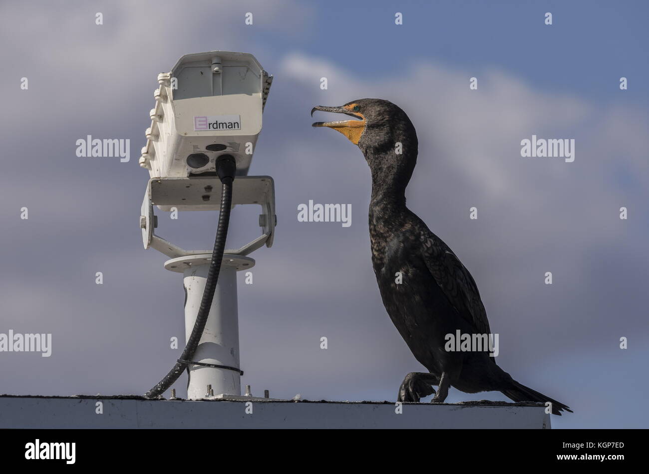 Humour humourous humorous humor hi-res stock photography and images - Alamy