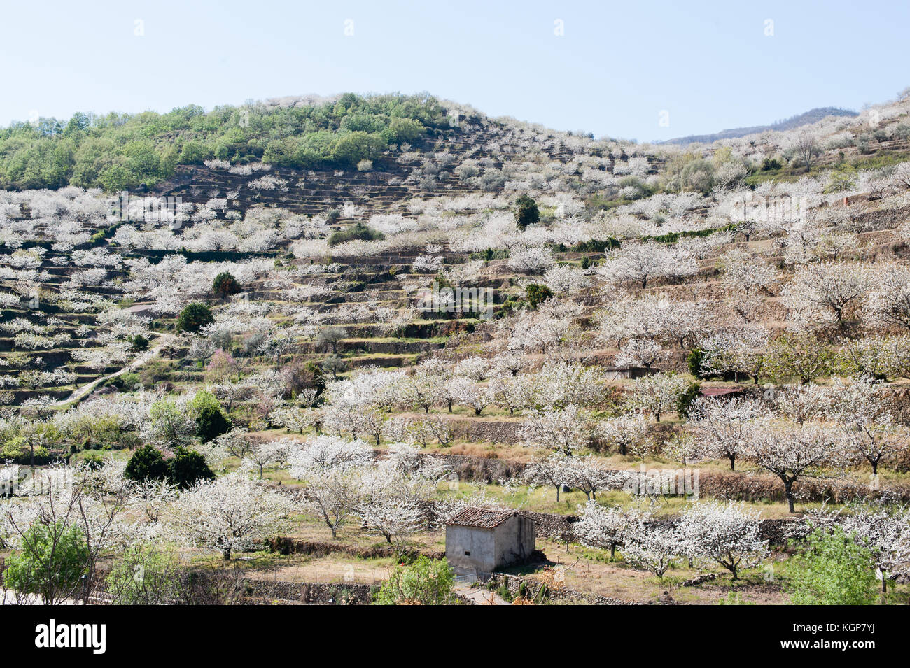 Jerte valley hi-res stock photography and images - Alamy