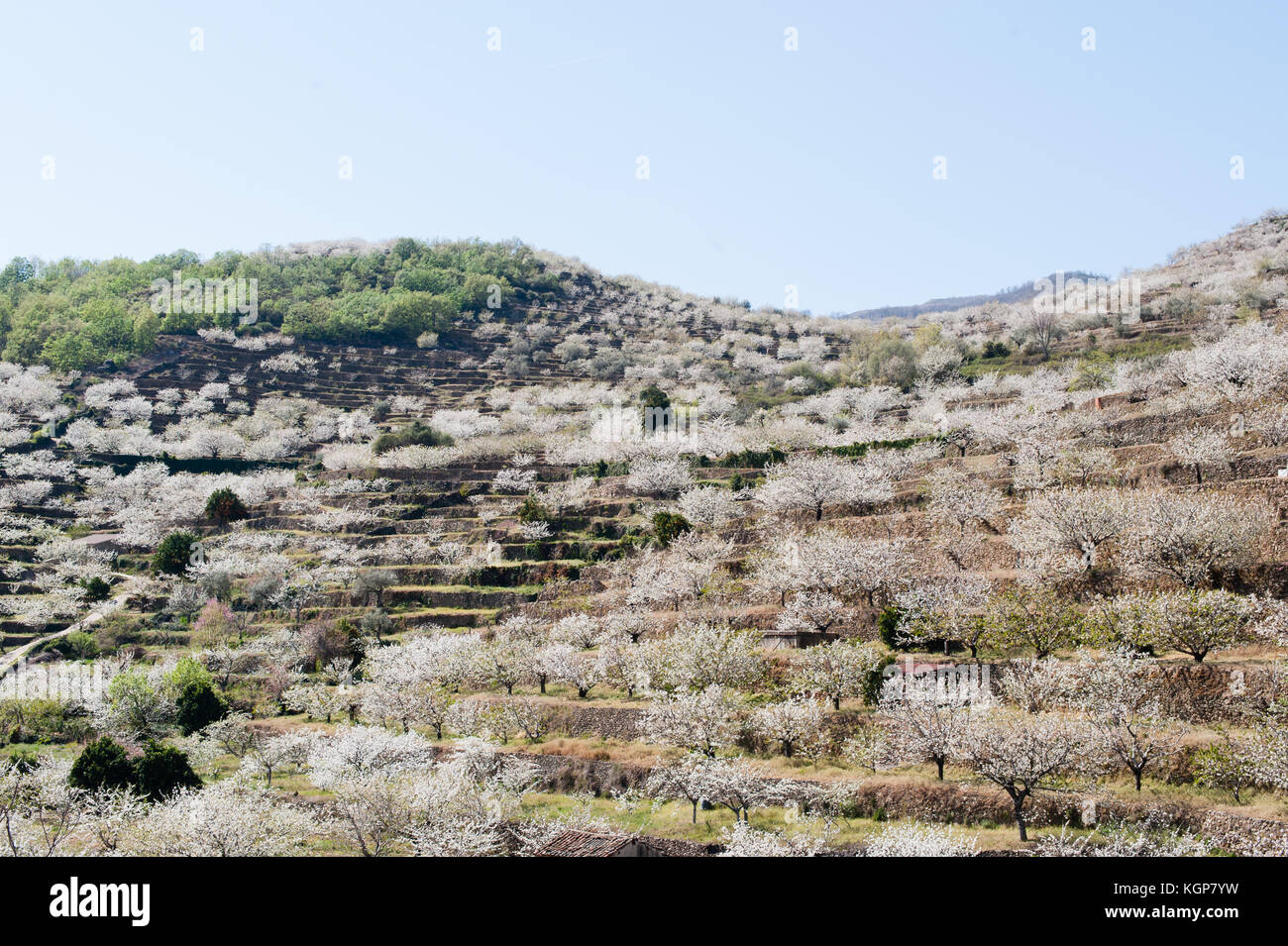 Jerte valley hi-res stock photography and images - Alamy