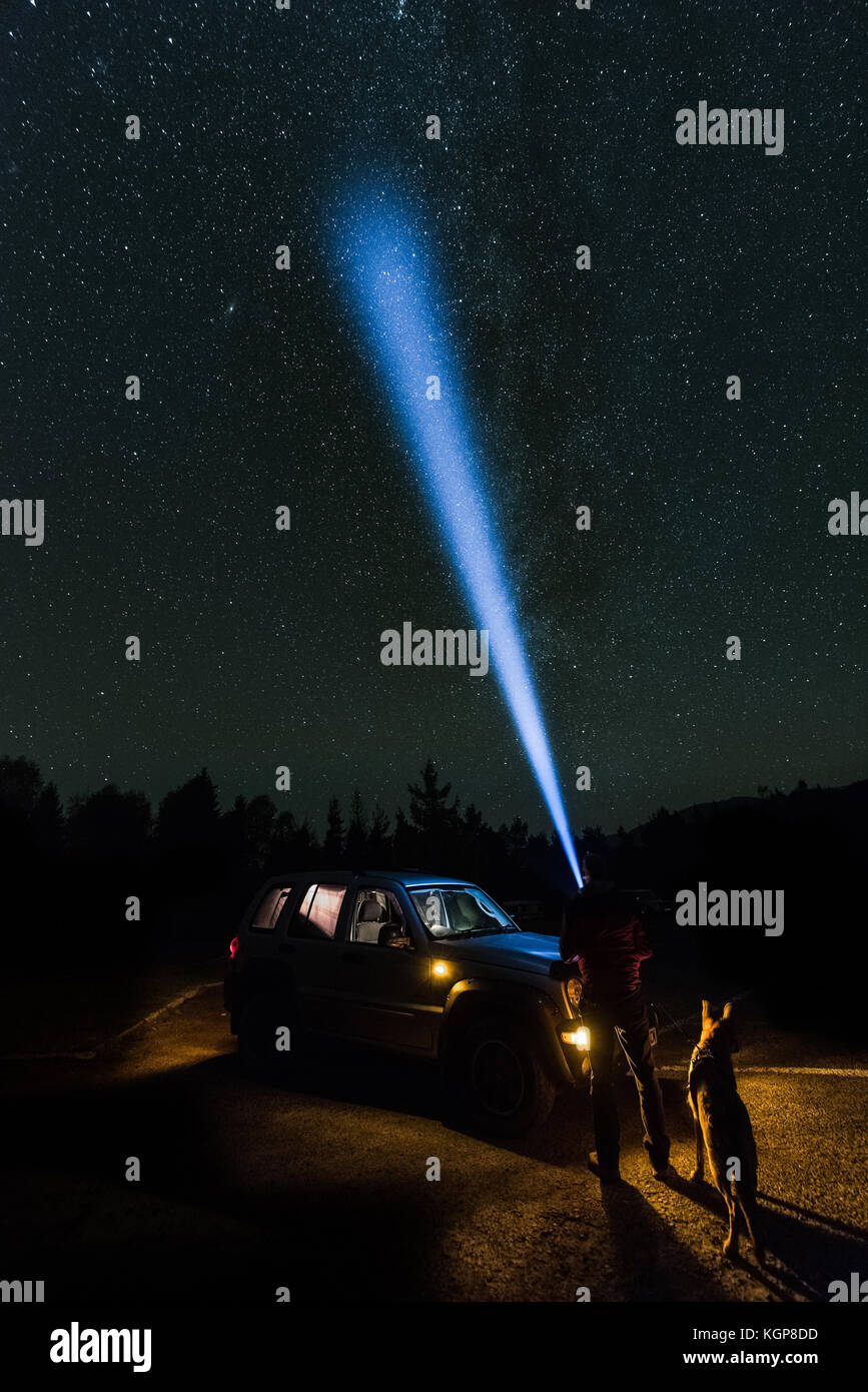 Torch light dog hi-res stock photography and images - Alamy