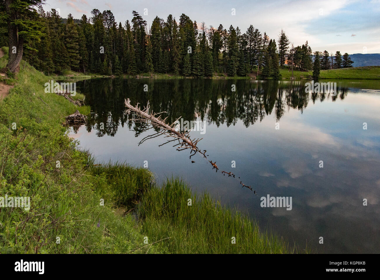 Trout Lake at Yellowstone National Park Stock Photo - Alamy