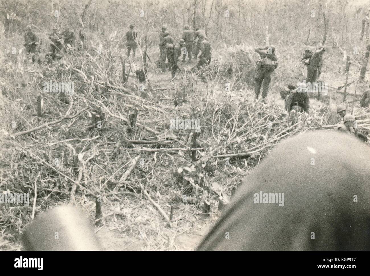 Vietnam War Jungle Stock Photos & Vietnam War Jungle Stock Images - Alamy
