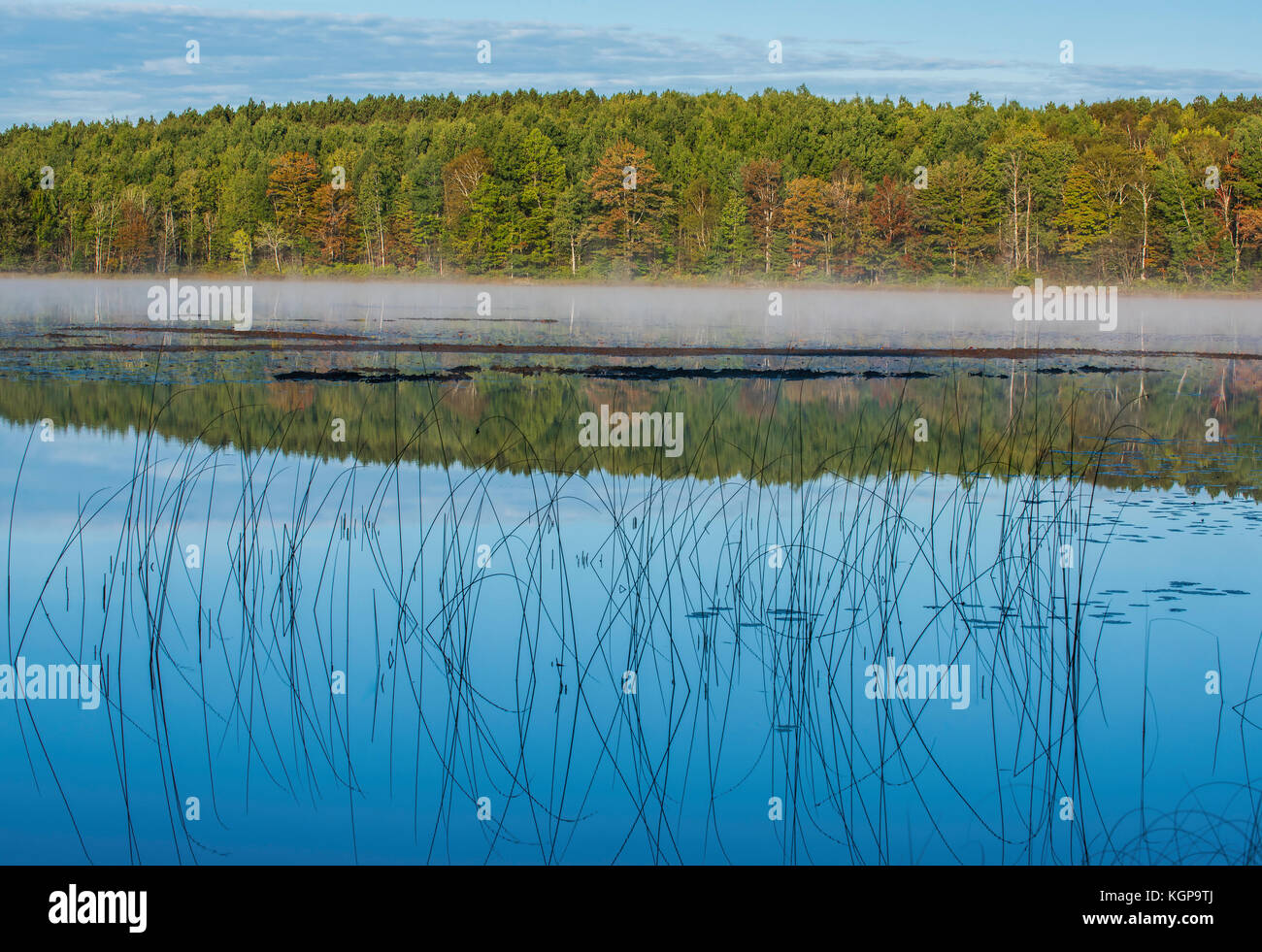 Thornton Lake, Hiawatha National Forest, Michigan USA by Bruce Montagne ...