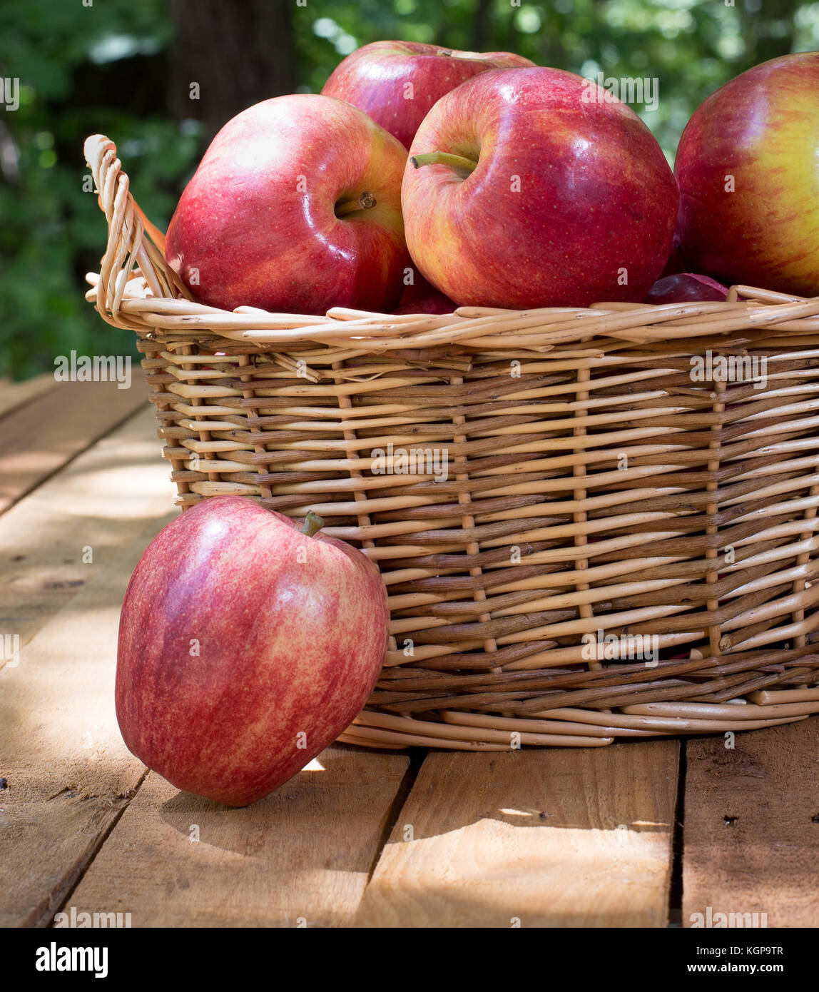 Basket of red apples with one on a wood surface Stock Photo - Alamy