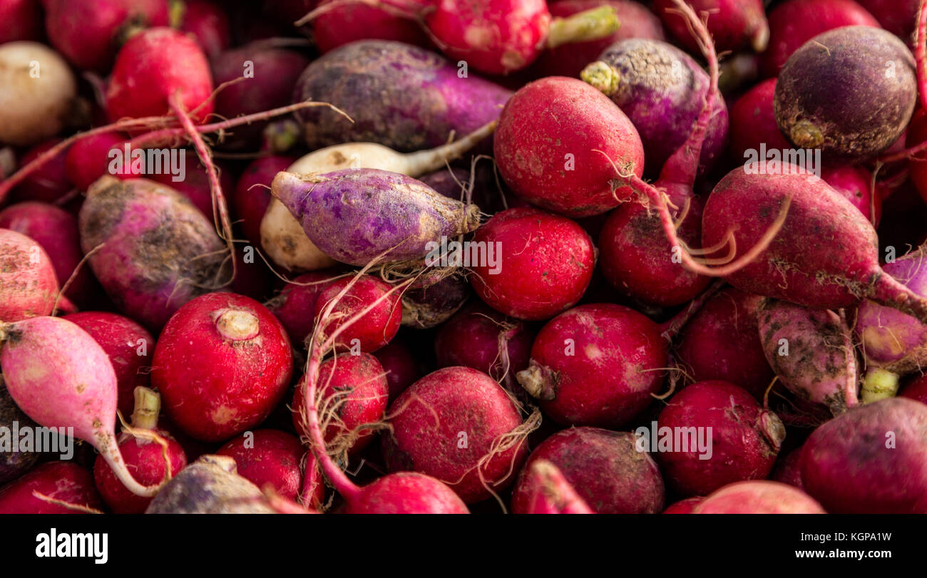 Random assortment of bright and multicolored radishes Stock Photo - Alamy
