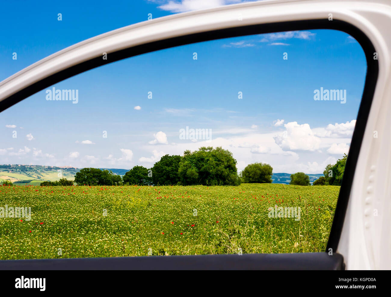 A flower through a window hi-res stock photography and images - Alamy