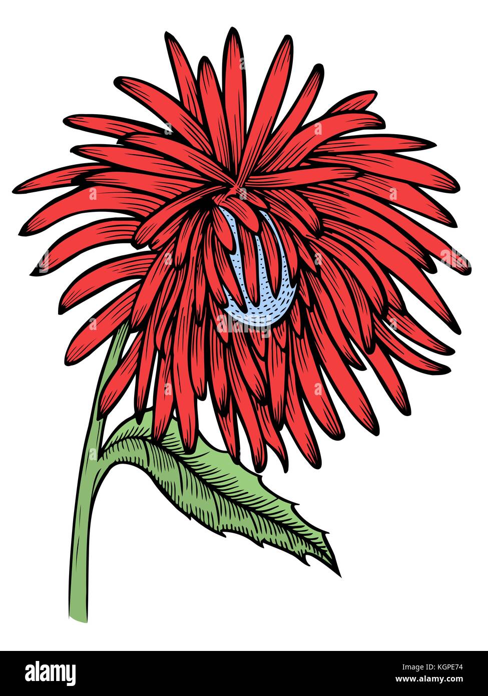 Spring flower vector illustration. Isolated on white background Stock ...