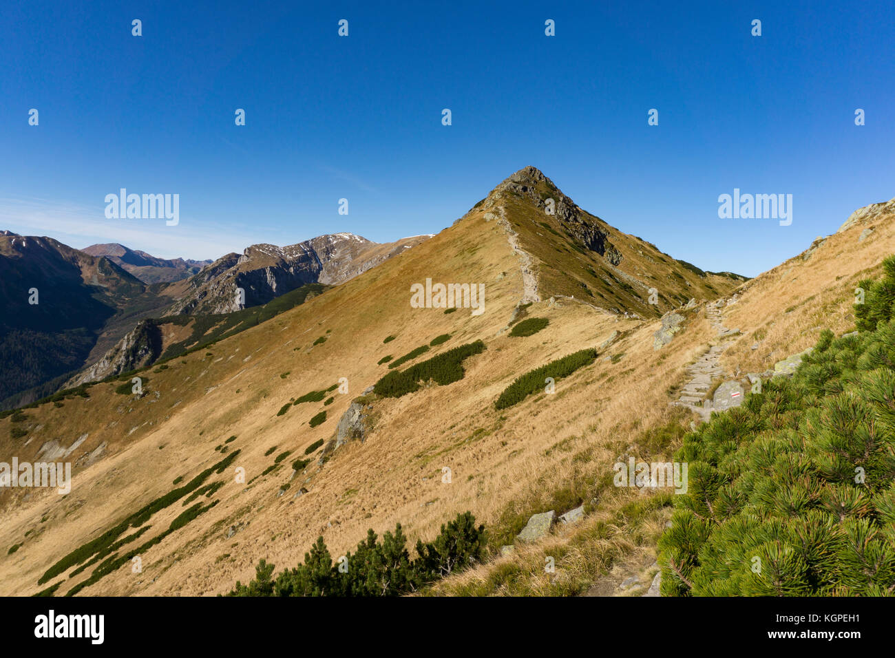 Mountain ridge in the Western Tatras in autumn Stock Photo - Alamy