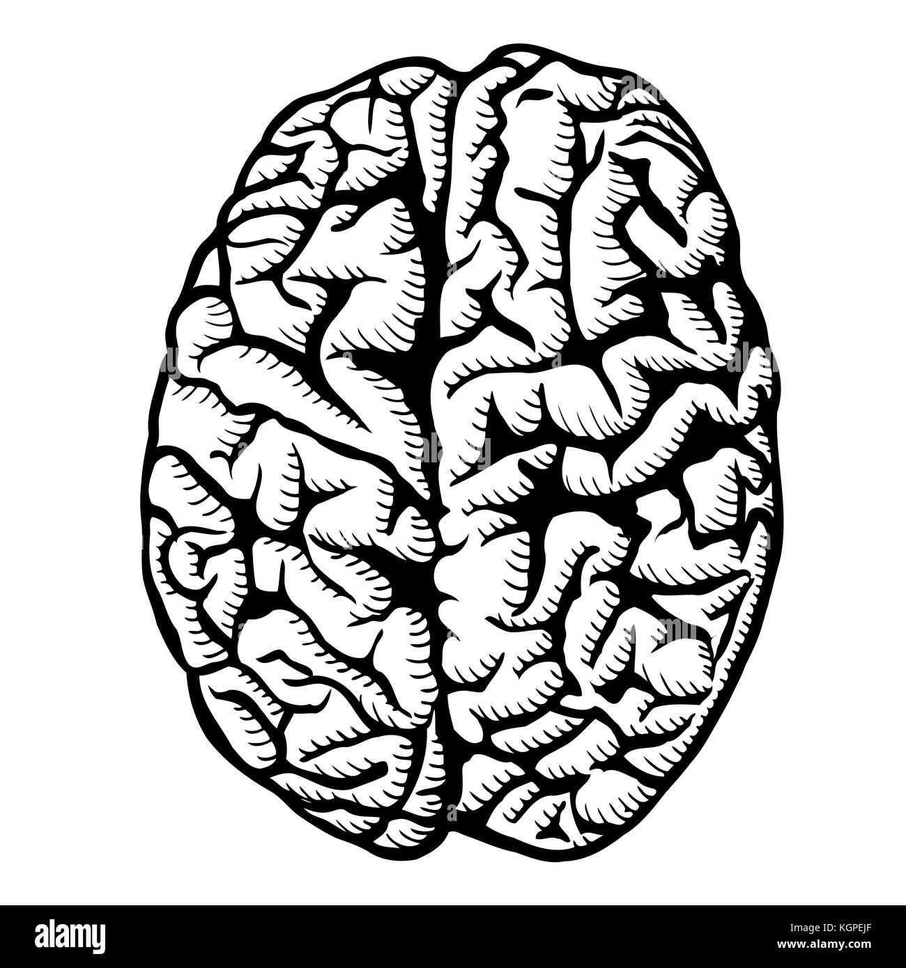 Cool Brain Drawing