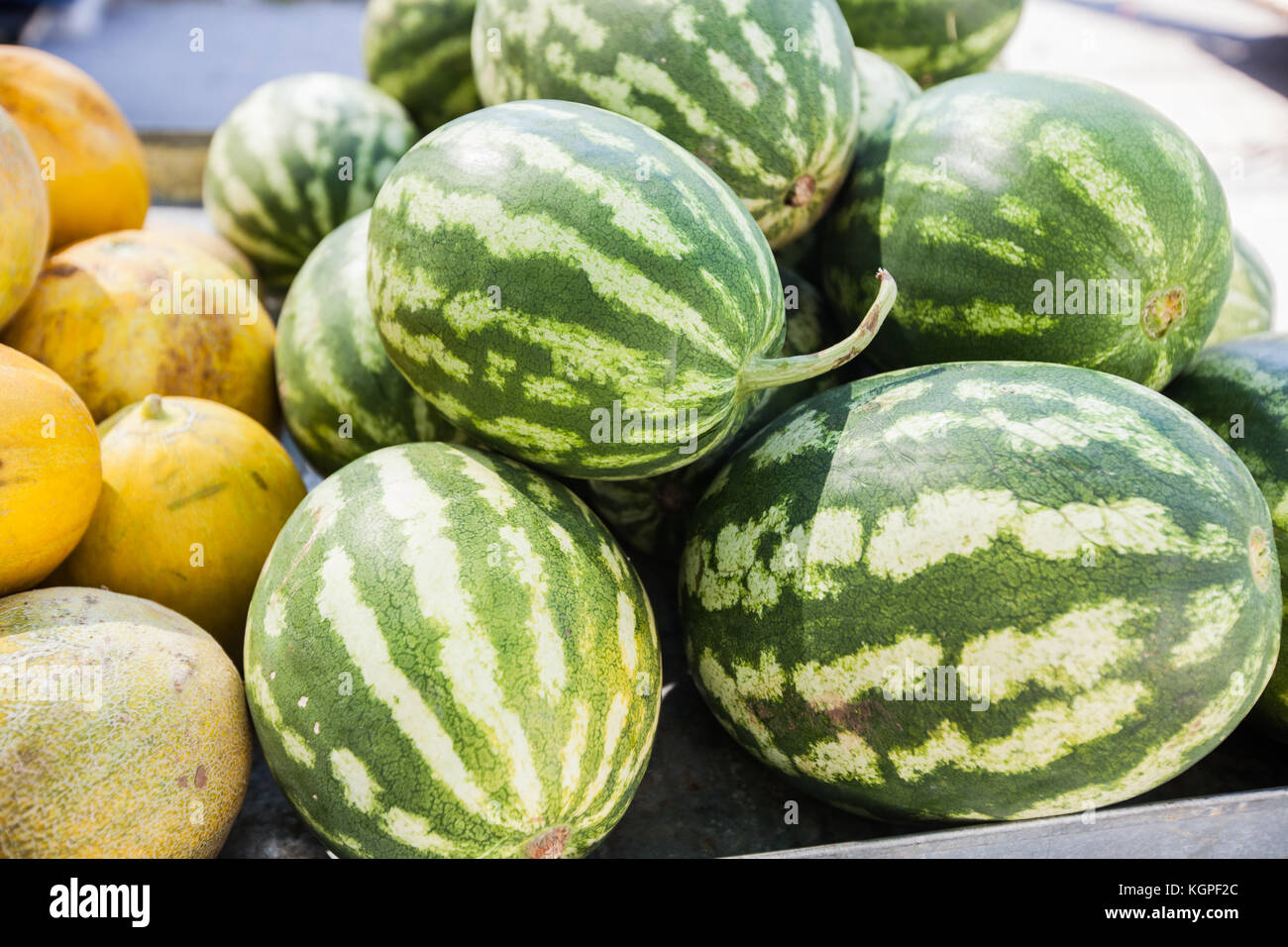 Sweet fruit watermelon on street market Stock Photo - Alamy