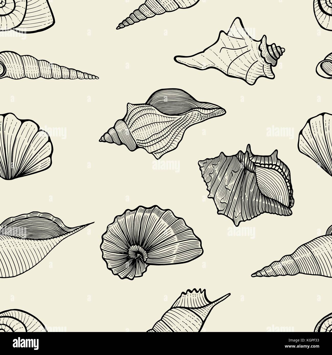 seamless pattern background of seashells. vector illustration Stock ...