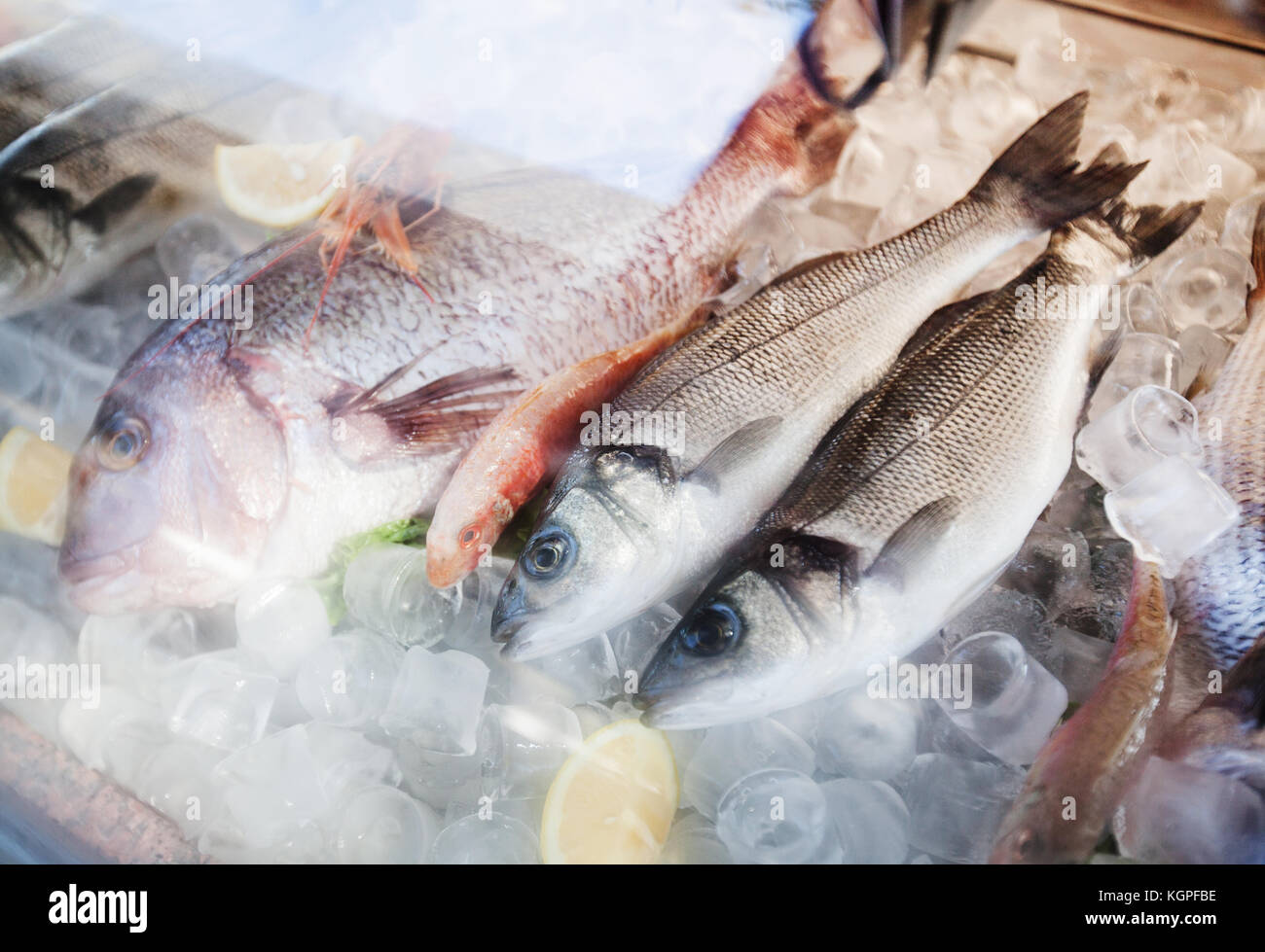 Fresh fish seafood on ice at fish market Stock Photo - Alamy