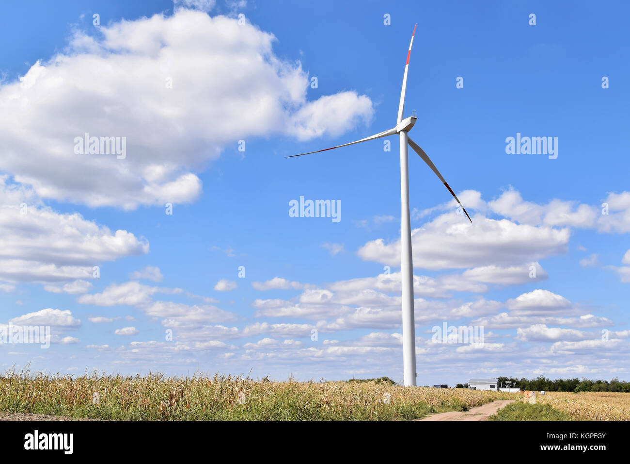 Wind farm in Alibunar, Serbia Stock Photo - Alamy