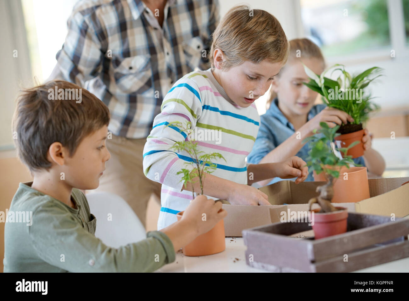 Teacher with kids in biology class learning about plants Stock Photo ...