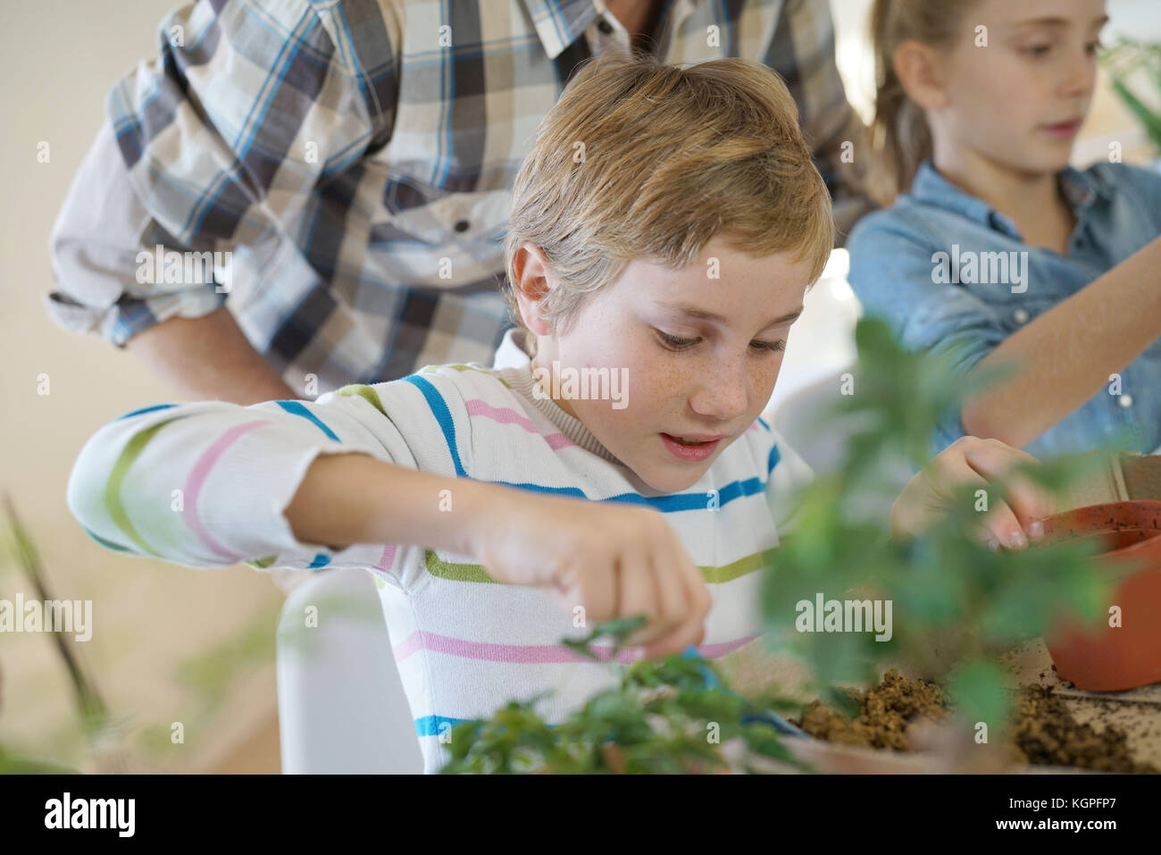 School boy in biology class learning about plant Stock Photo - Alamy