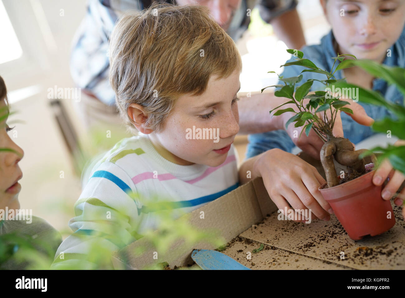 Teacher with kids in biology class learning about plants Stock Photo ...