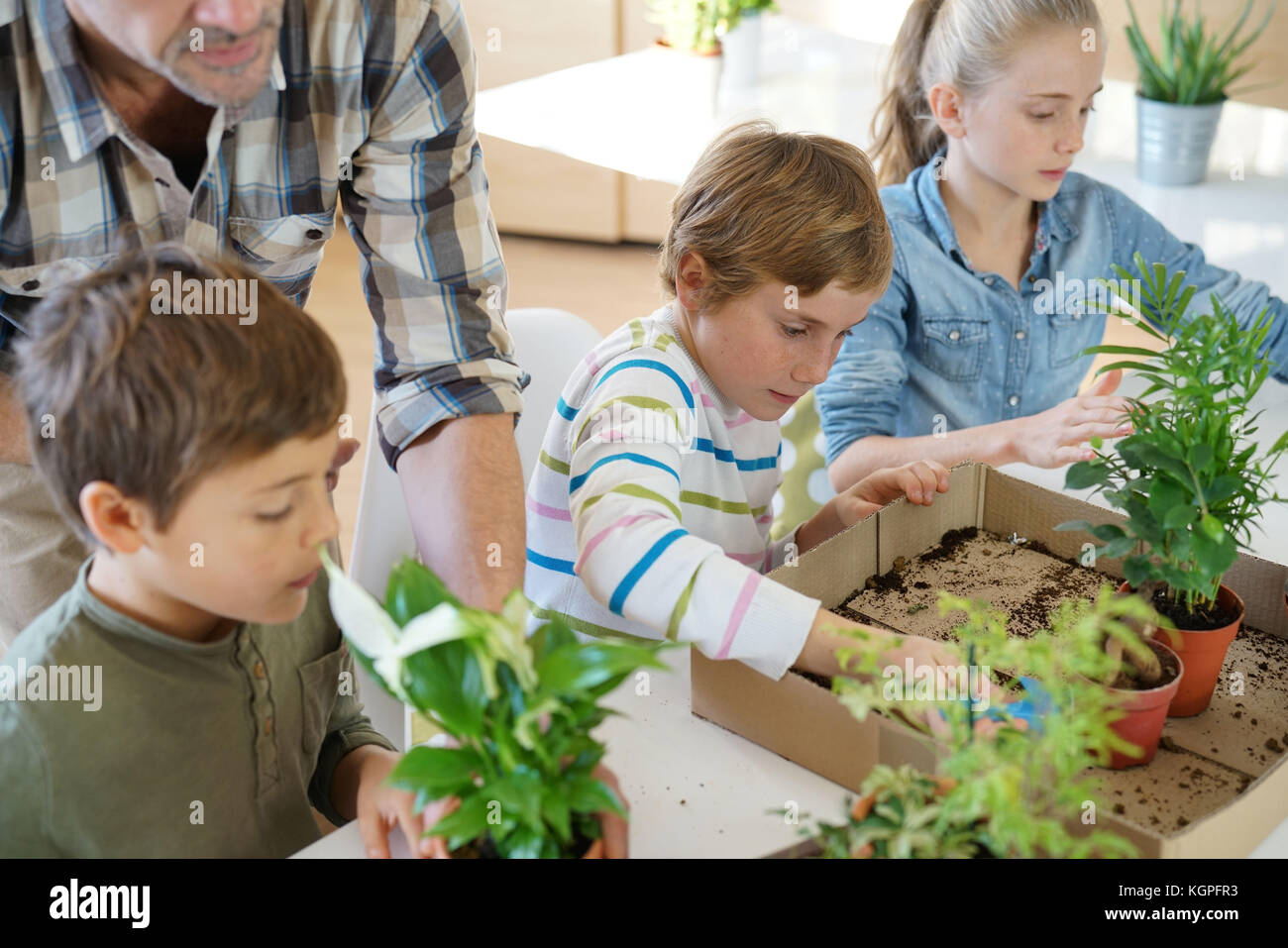 Teacher with kids in biology class learning about plants Stock Photo ...