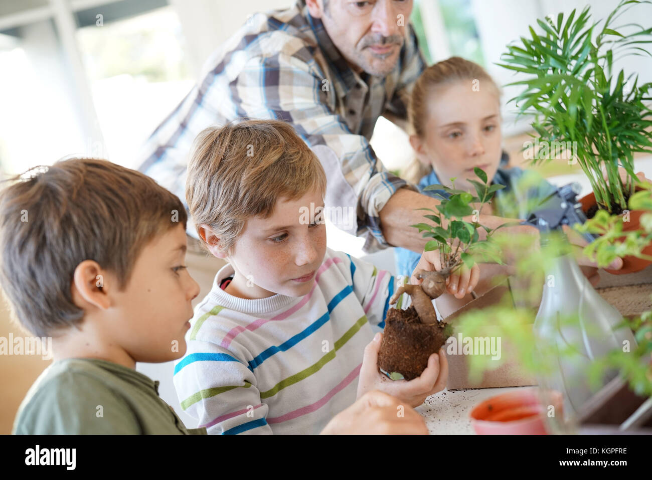 Teacher with kids in biology class learning about plants Stock Photo ...
