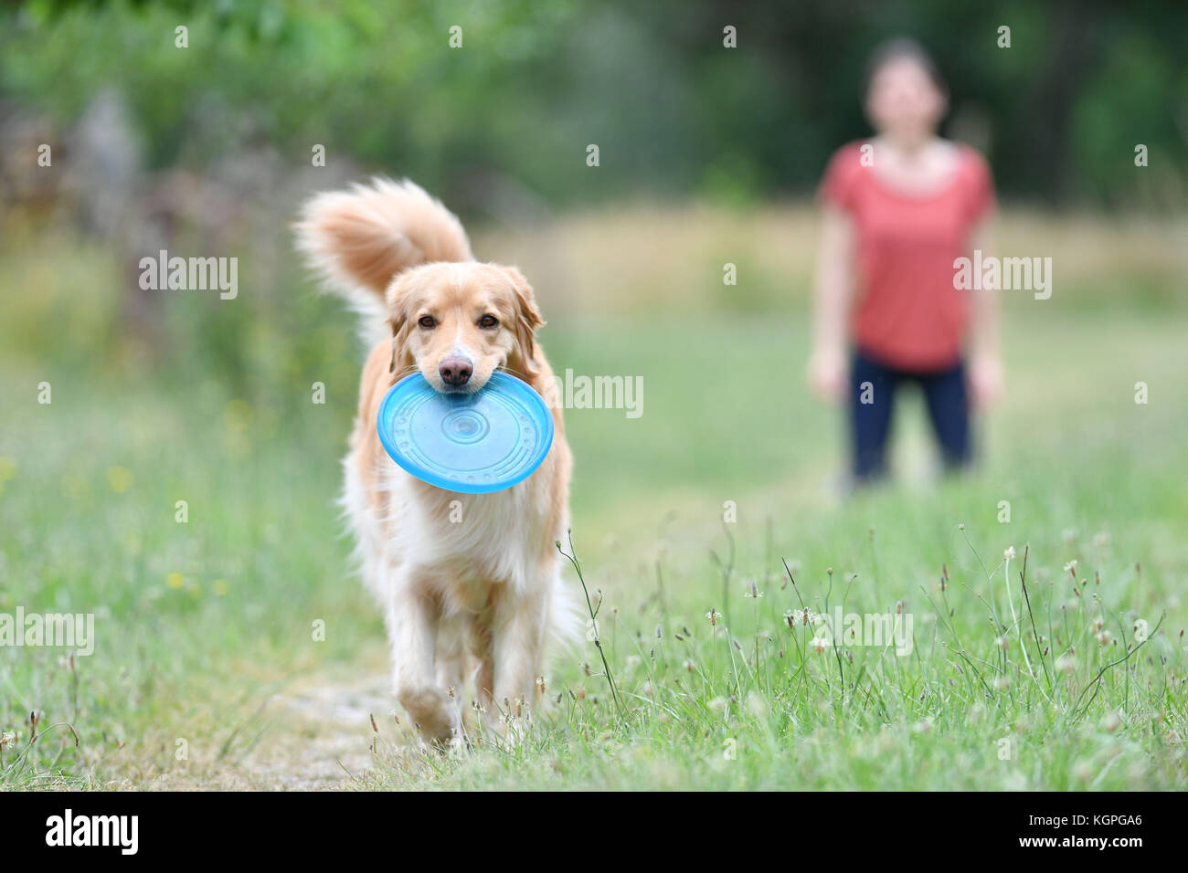 Woman playing with throwing frisbee to dog Stock Photo - Alamy