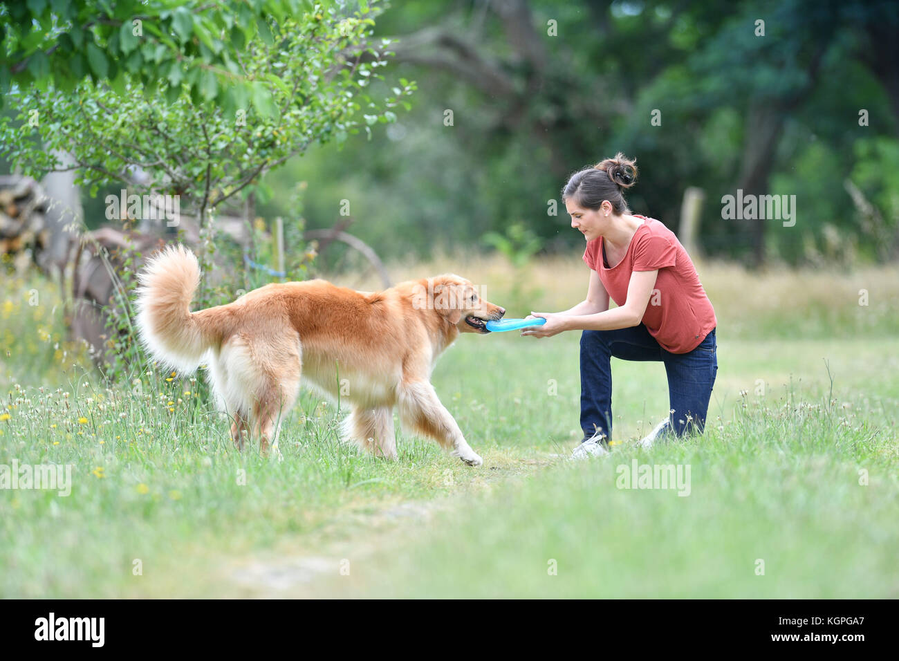 Woman playing with throwing frisbee to dog Stock Photo - Alamy