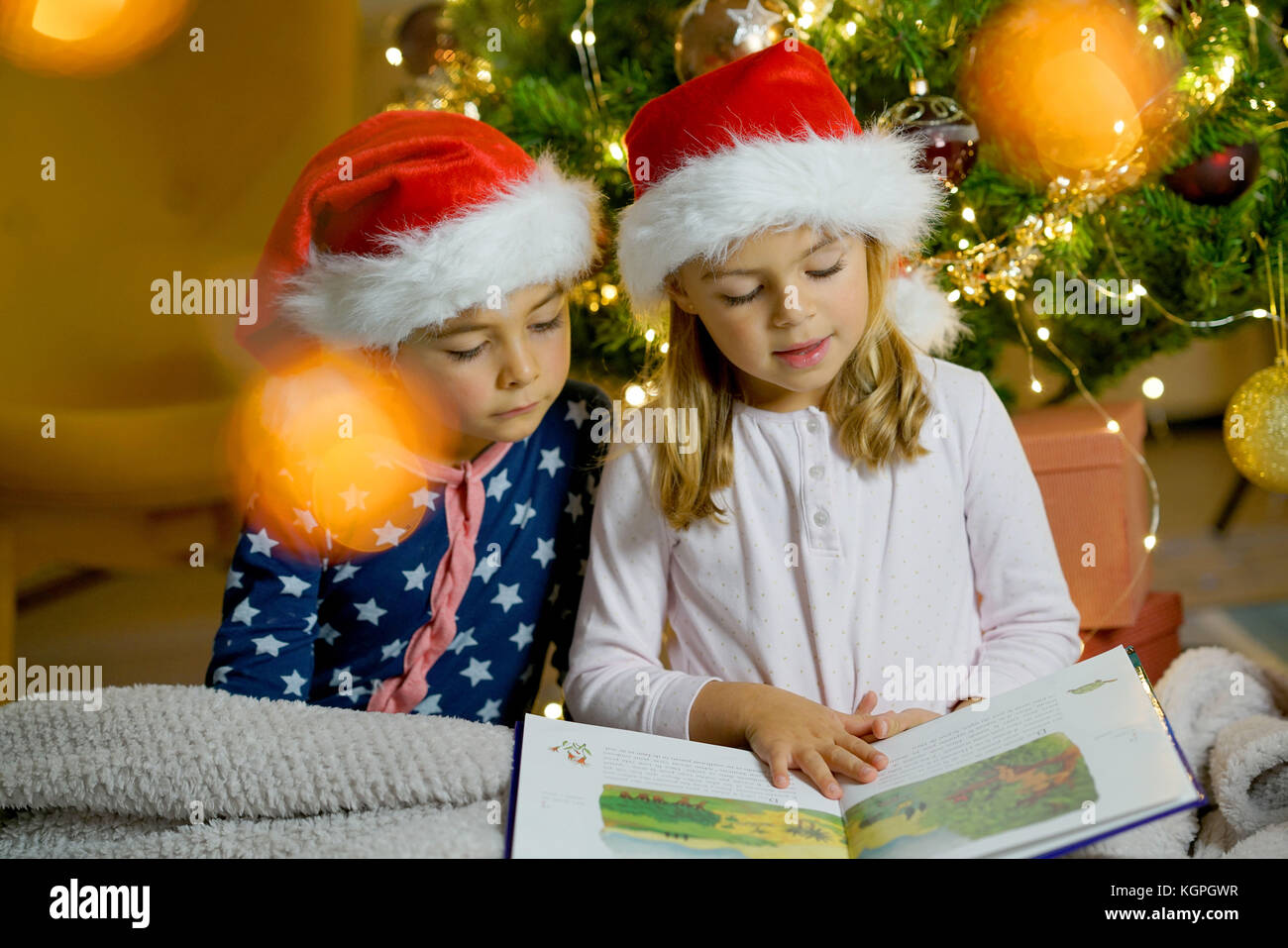 Tree children reading hi-res stock photography and images - Alamy